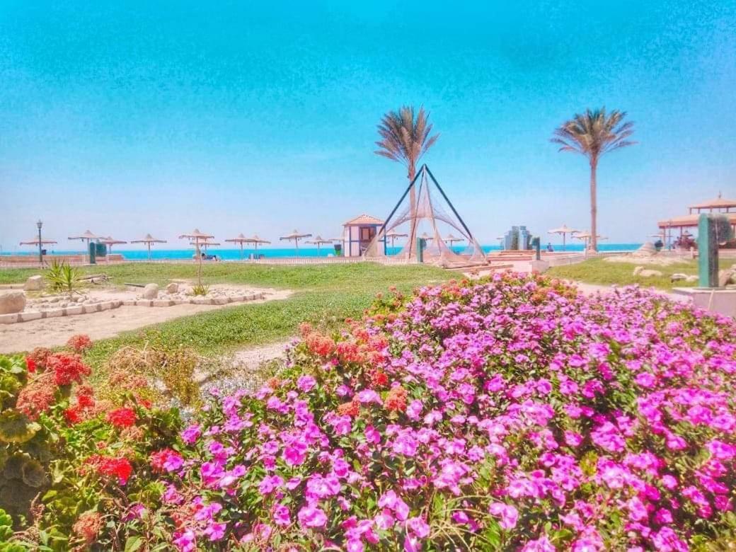 ROYAL BEACH RESORT, رأس سدر ***‬